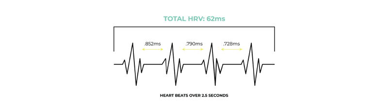 Learn – Mode+Method by Longevity Labs Inc.